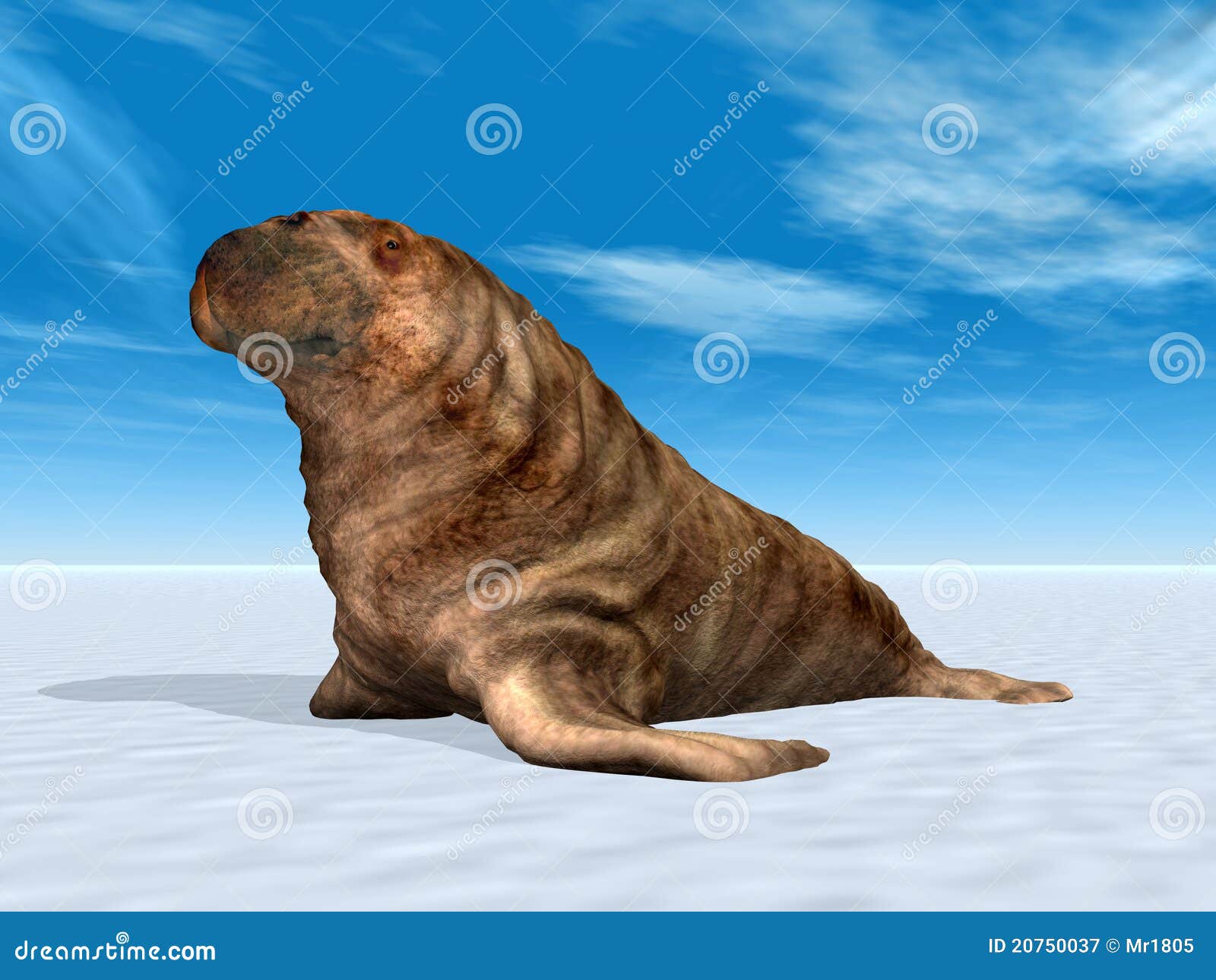 Valross stock illustrationer. Illustration av valross - 20750037