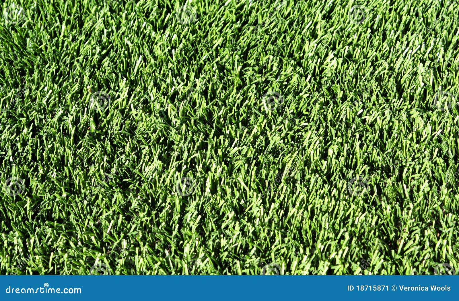 Vals Gras stock afbeelding. Image of economisch, dekking - 18715871