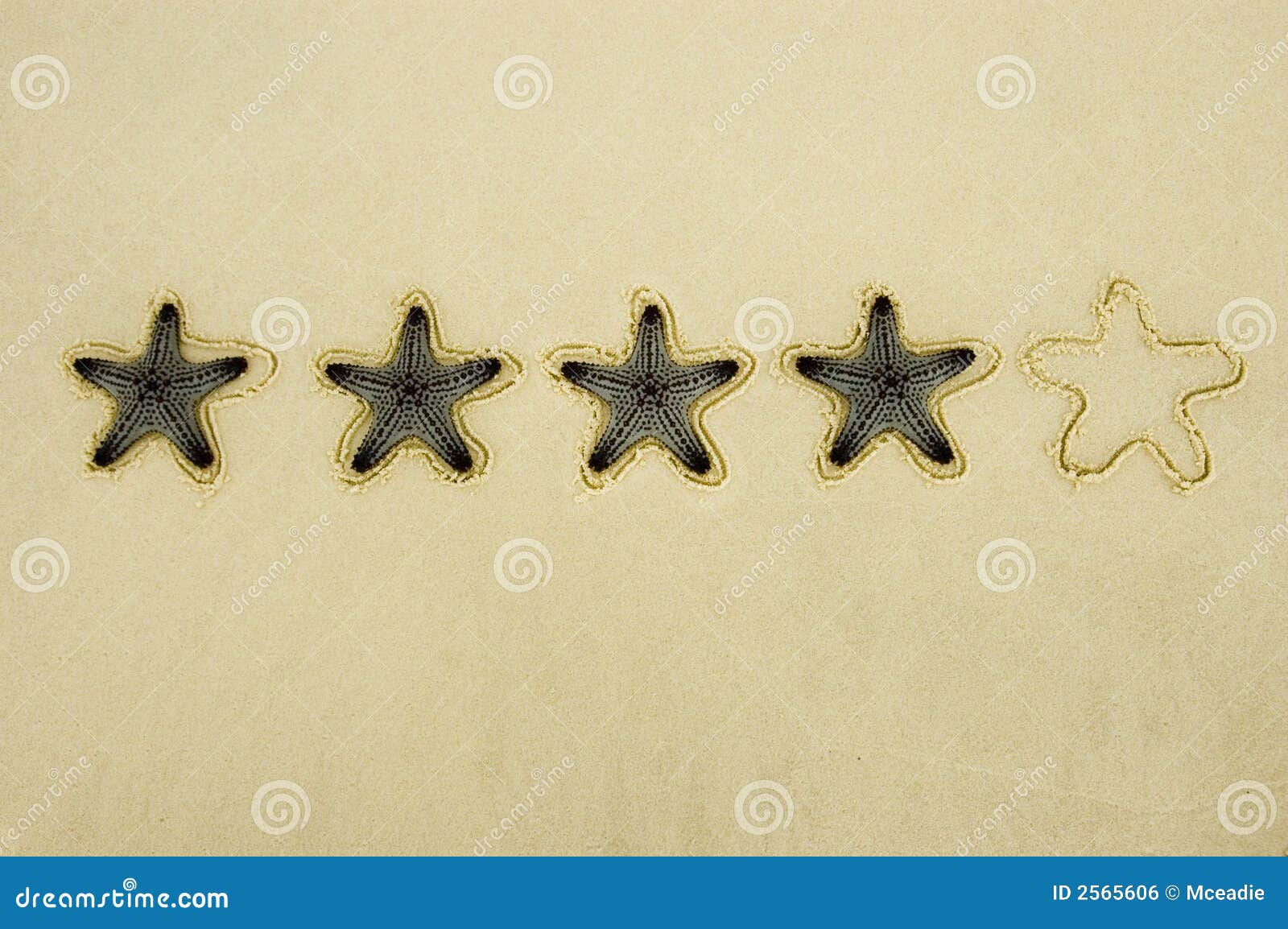 Valutazione quattro stelle fotografia stock. Immagine di starfish - 2565606
