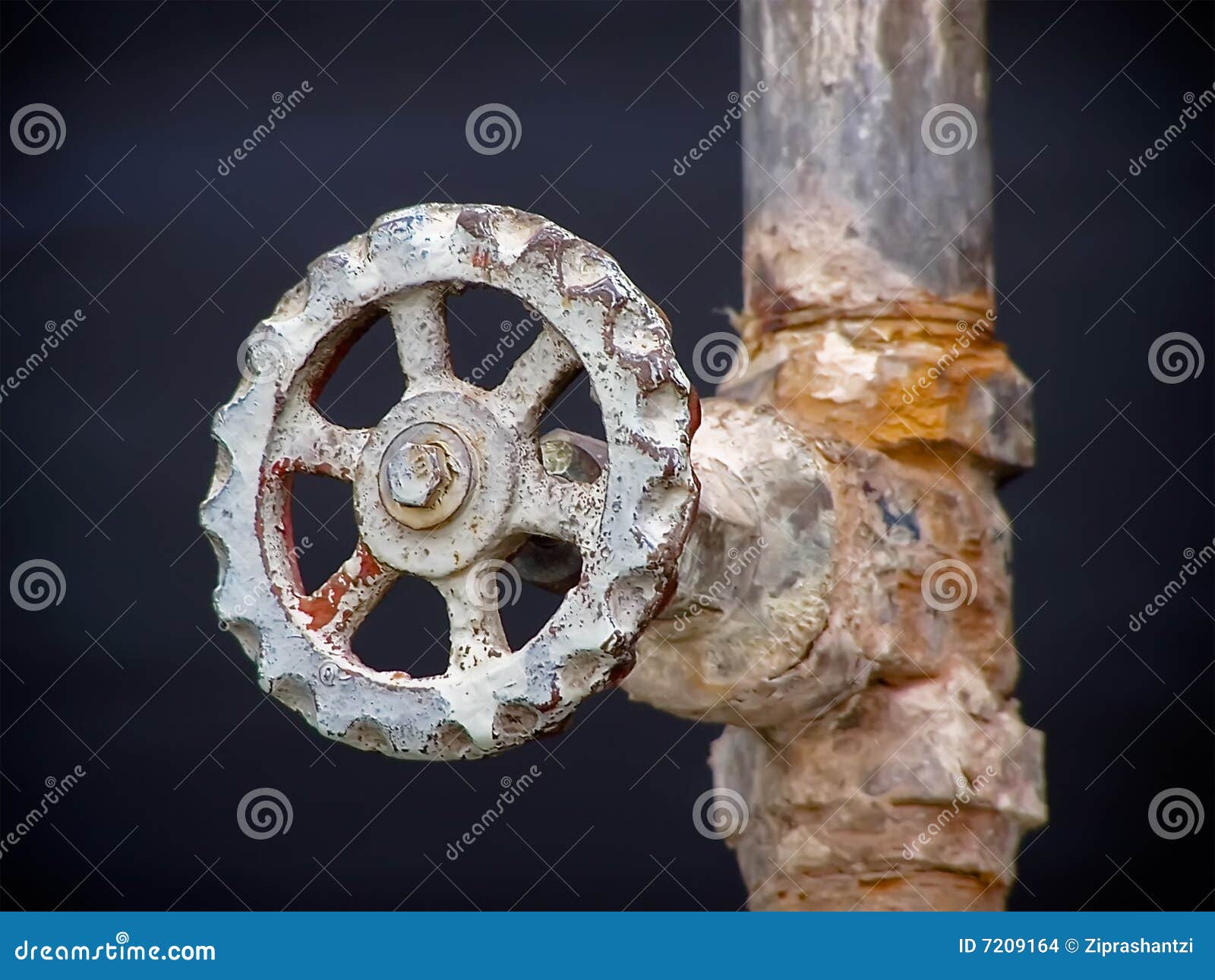Valve knob stock photo. Image of water, faucet, safety - 7209164