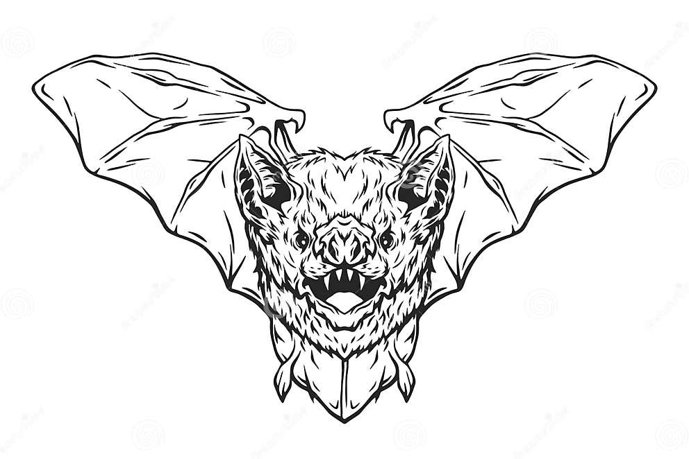 Vampire bat in flight. stock vector. Illustration of dracula - 78996589