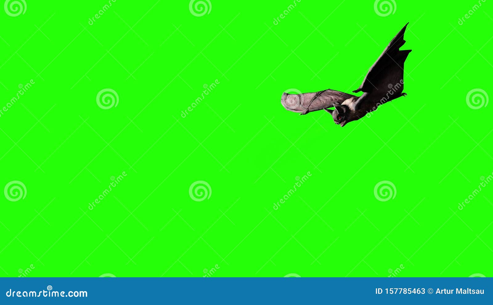 Bat Green Screen Stock Footage & Videos - 202 Stock Videos