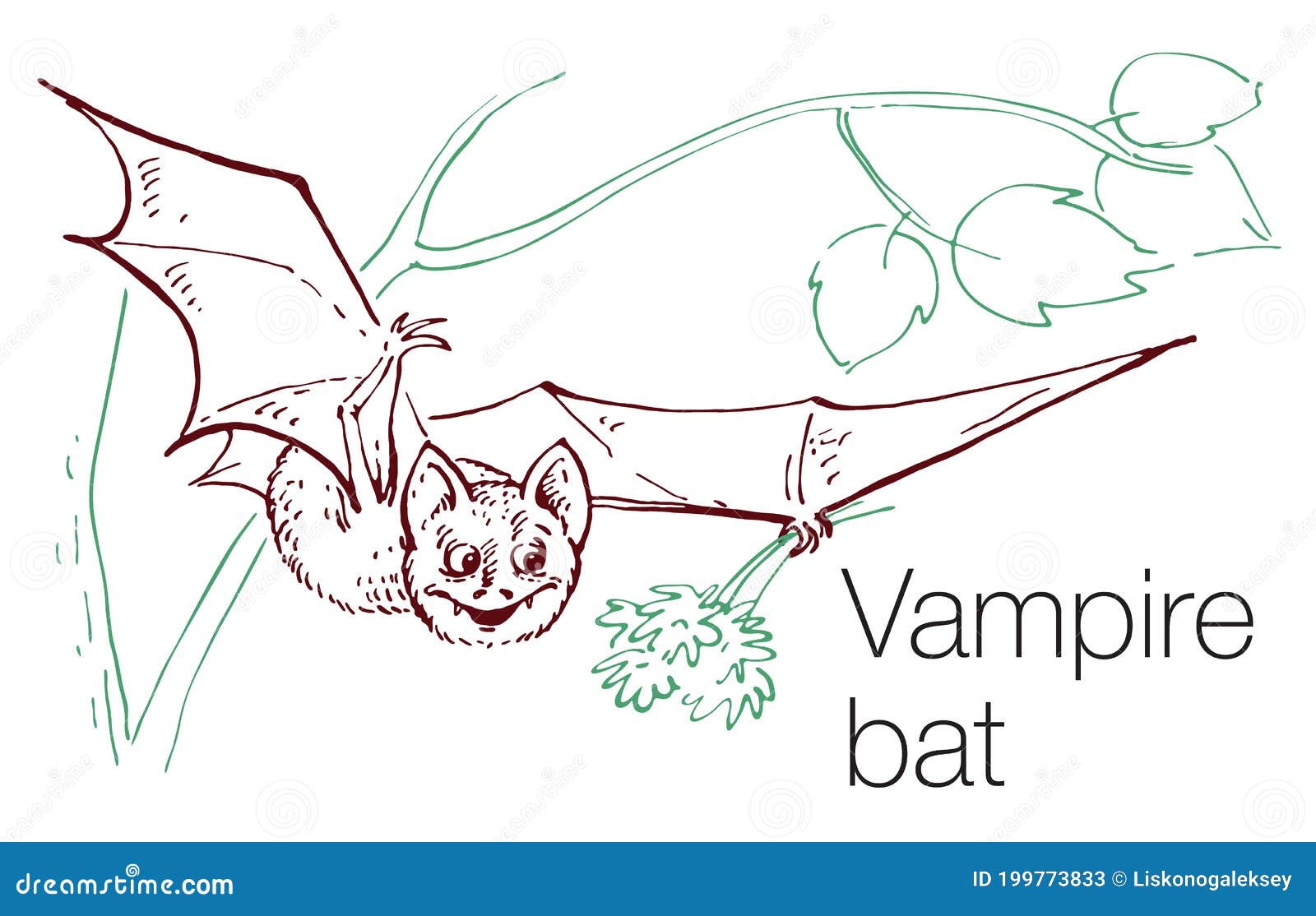 Vampire Bat Hand Drawn Vector Illustration Stock Vector - Illustration ...