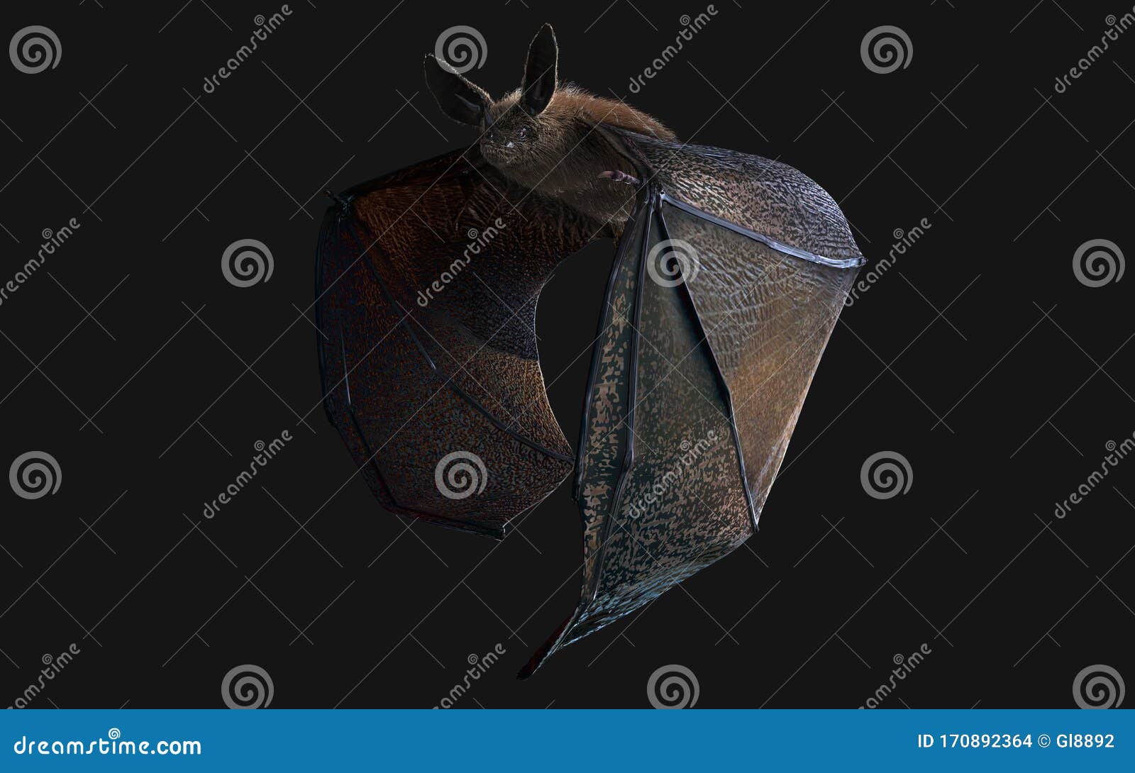 Vampire Bat Swooping With Clipping Path. Royalty-Free Stock Photography ...