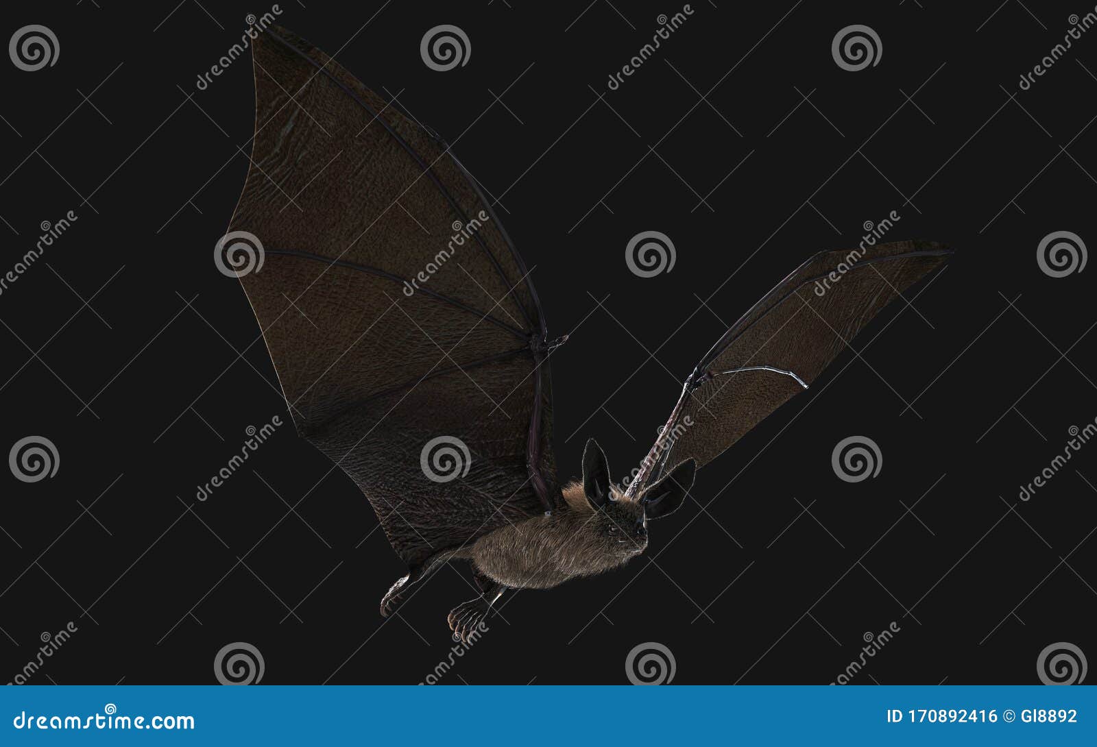 Vampire Bat Swooping with Clipping Path. Stock Illustration ...