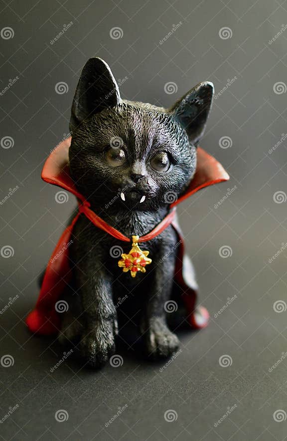 A Vampire Black Cat with a Cape Stock Photo - Image of vampire ...
