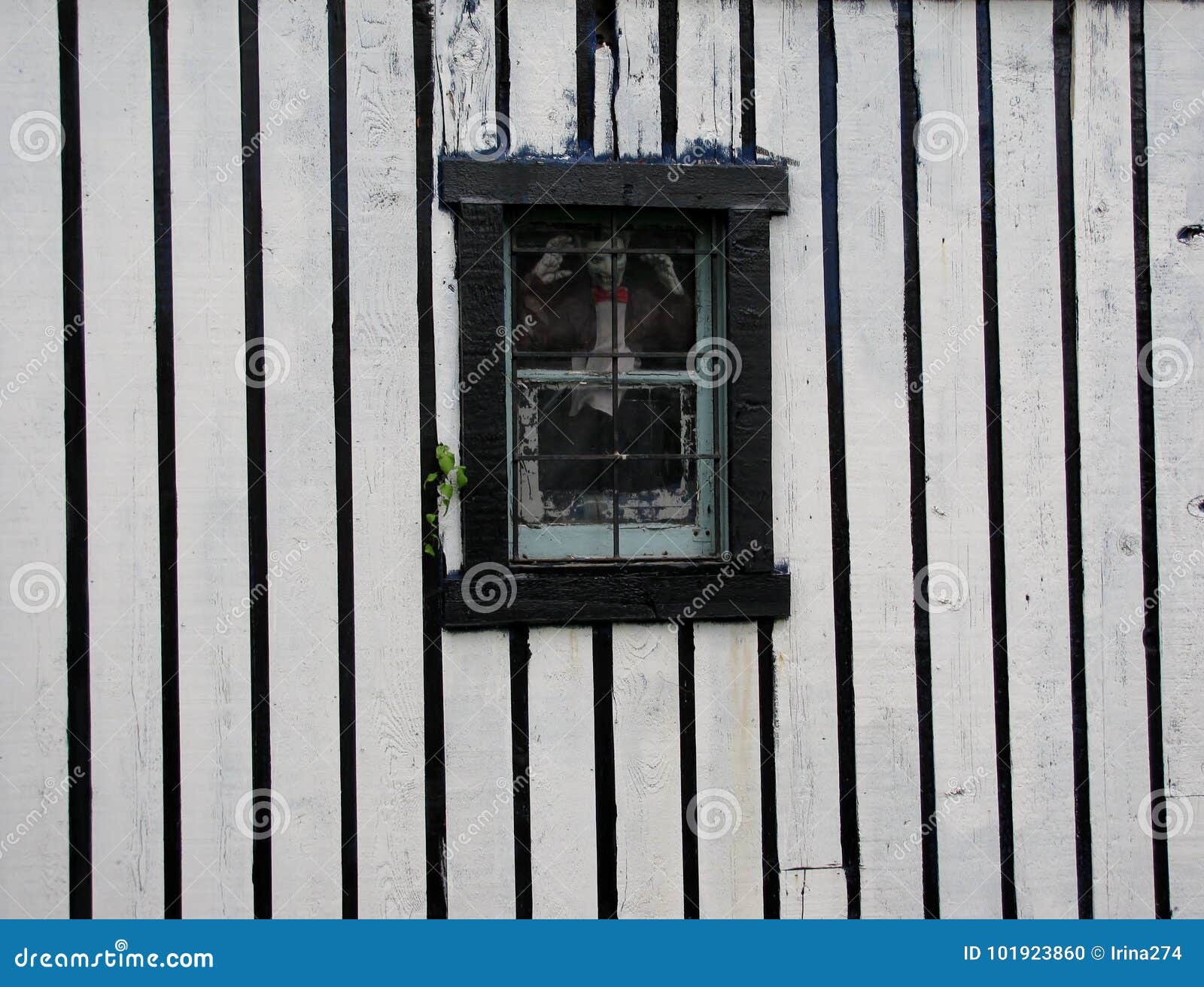 Vampire Looking Glass Window Stock Photos - Free & Royalty-Free Stock ...