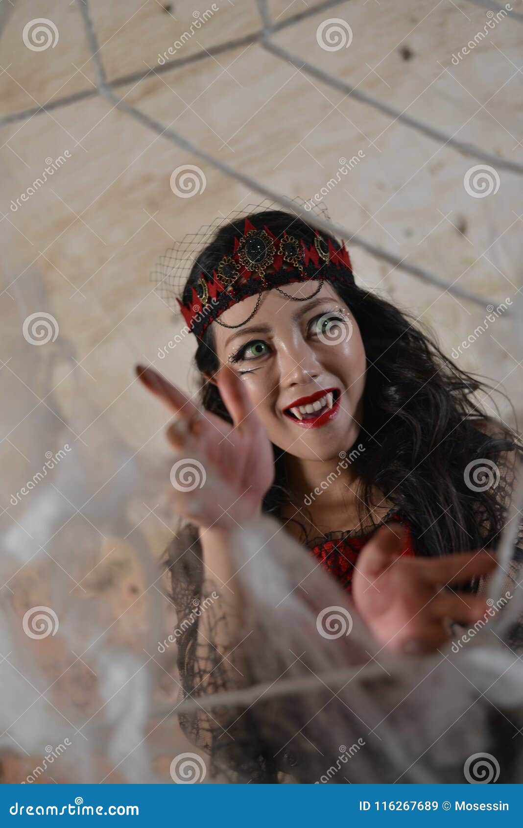 Vampire Witch Woman Spider Web Stock Image - Image of cultures, garden ...