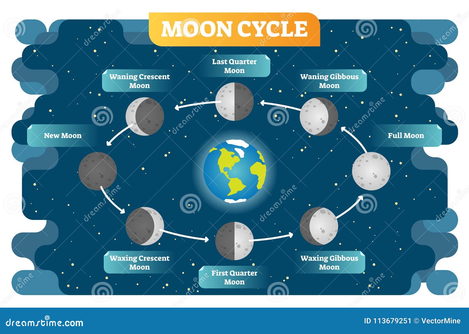 Van De De Cyclus Vectorillustratie Van De Maanfase Het Diagramaffiche ...