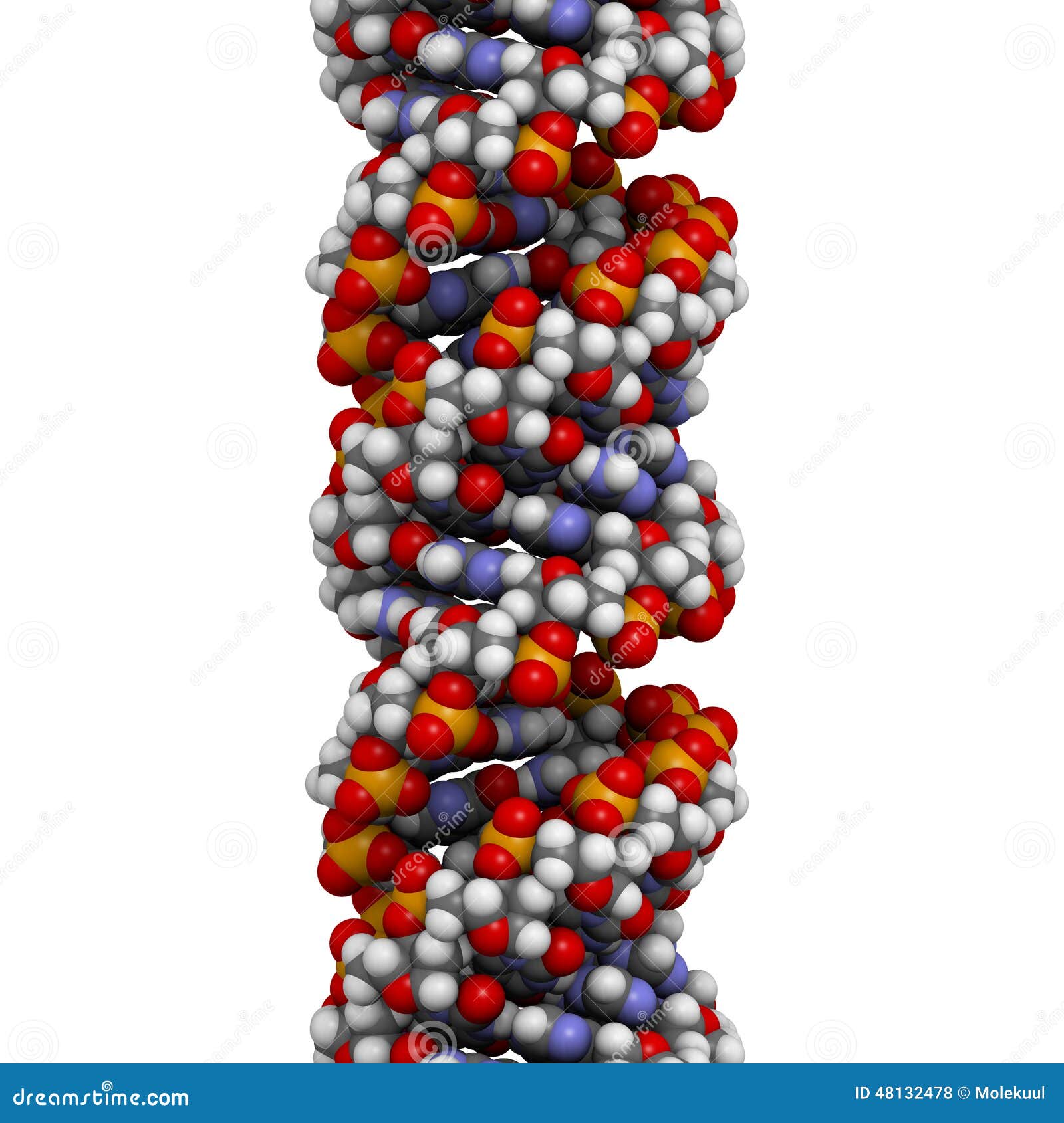 Van DNA (bouw a-DNA) De Structuur Stock Illustratie - Illustration of ...