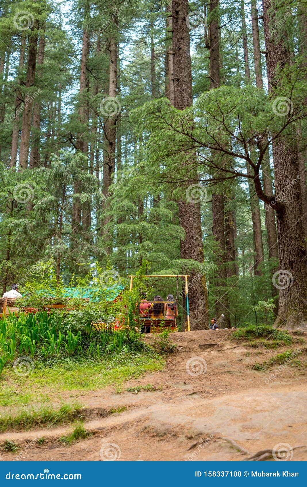 Van Vihar Forest in Manali editorial image. Image of worship - 158337100