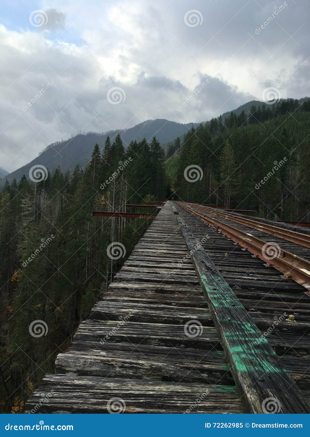 Vance Creek Bridge imagen de archivo. Imagen de ferrocarril - 72262985