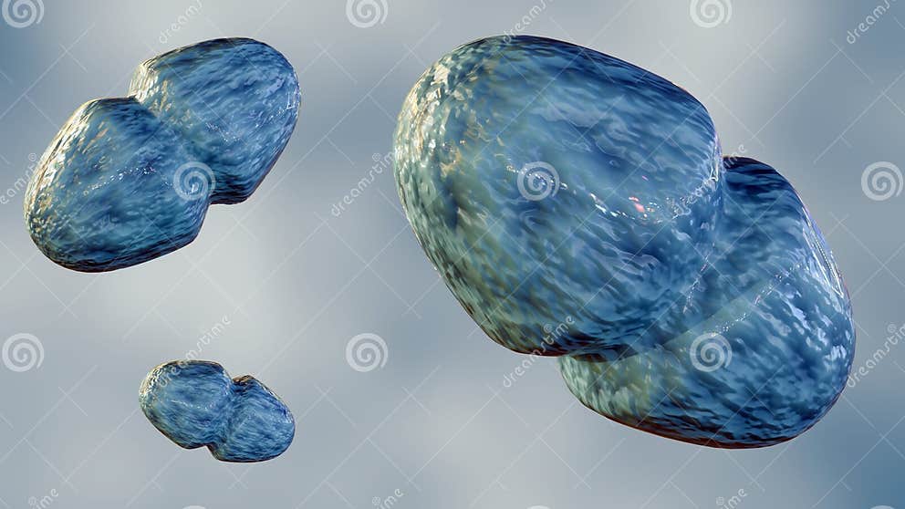 Vancomycin-resistant Enterococcus or VRE, Enterococcus Faecalis Stock ...