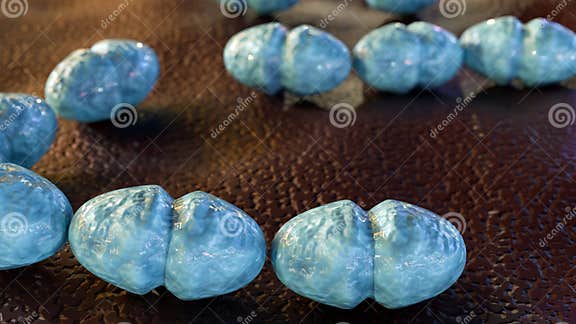 Vancomycin-resistant Enterococcus or VRE, Enterococcus Faecalis Stock ...