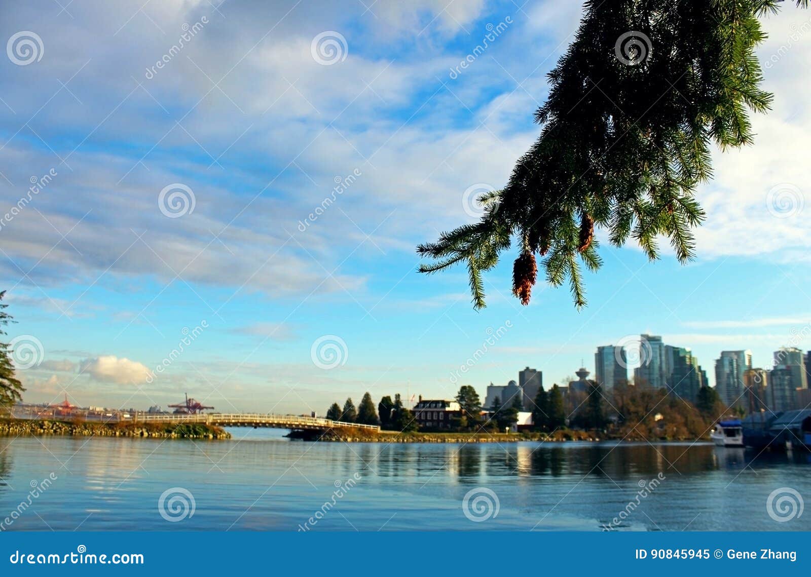 Vancouver Bay stock image. Image of tavel, color, green - 90845945