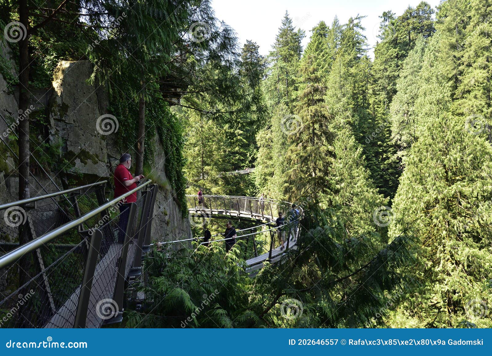 Visitors Exploring the Capilano Cliff Walk through Rainforest. the ... Visitors Exploring the Capilano Cliff Walk through Rainforest. the ...