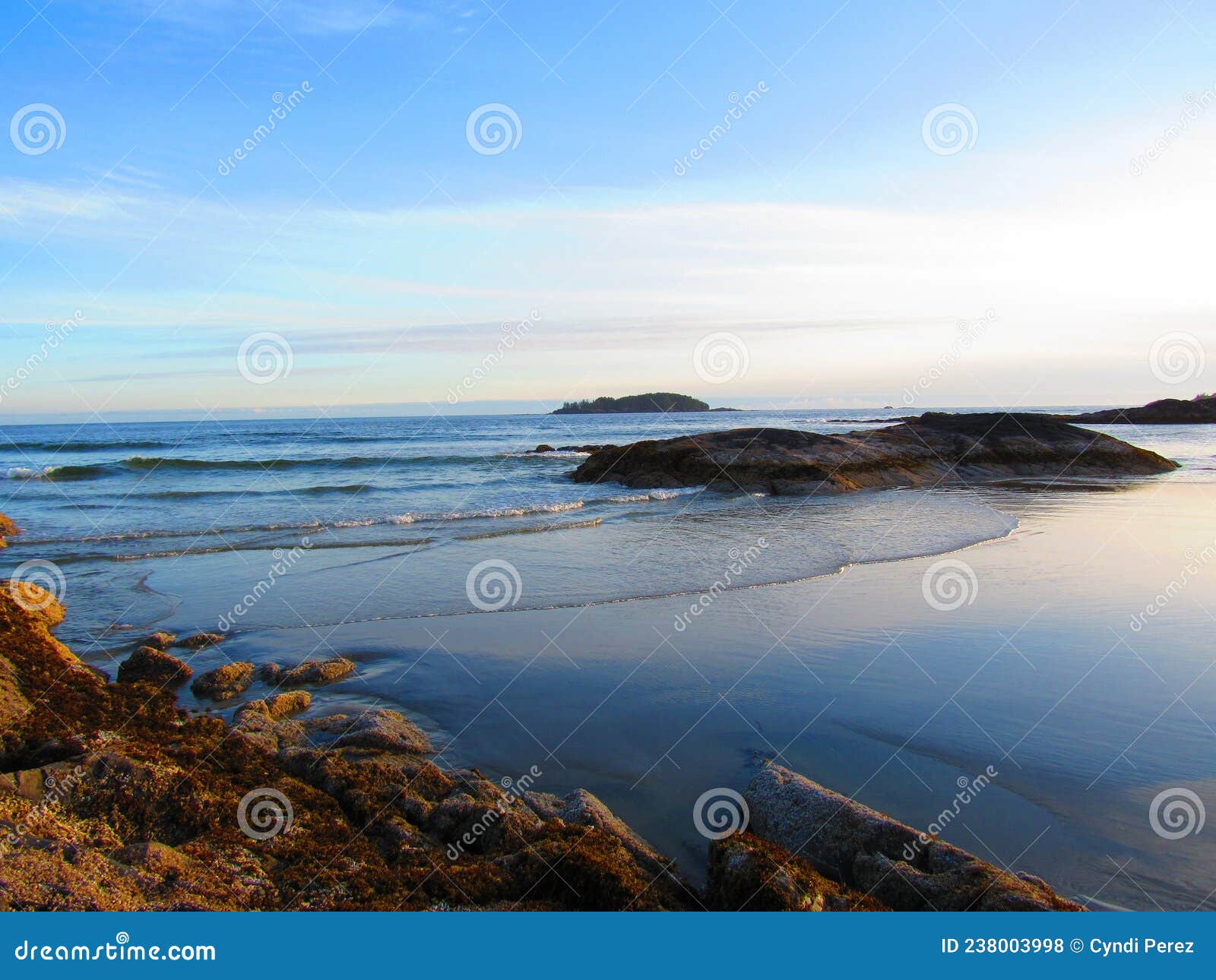 Vancouver Island Oceanside stock photo. Image of beach - 238003998