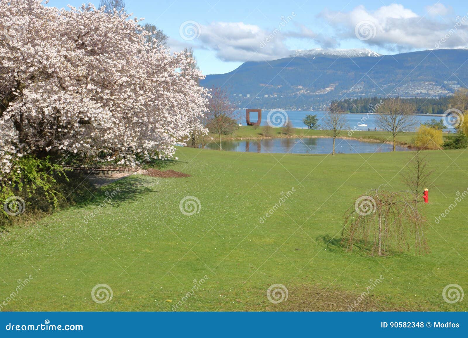 Vancouver Spring Blossoms stock photo. Image of pacific - 90582348