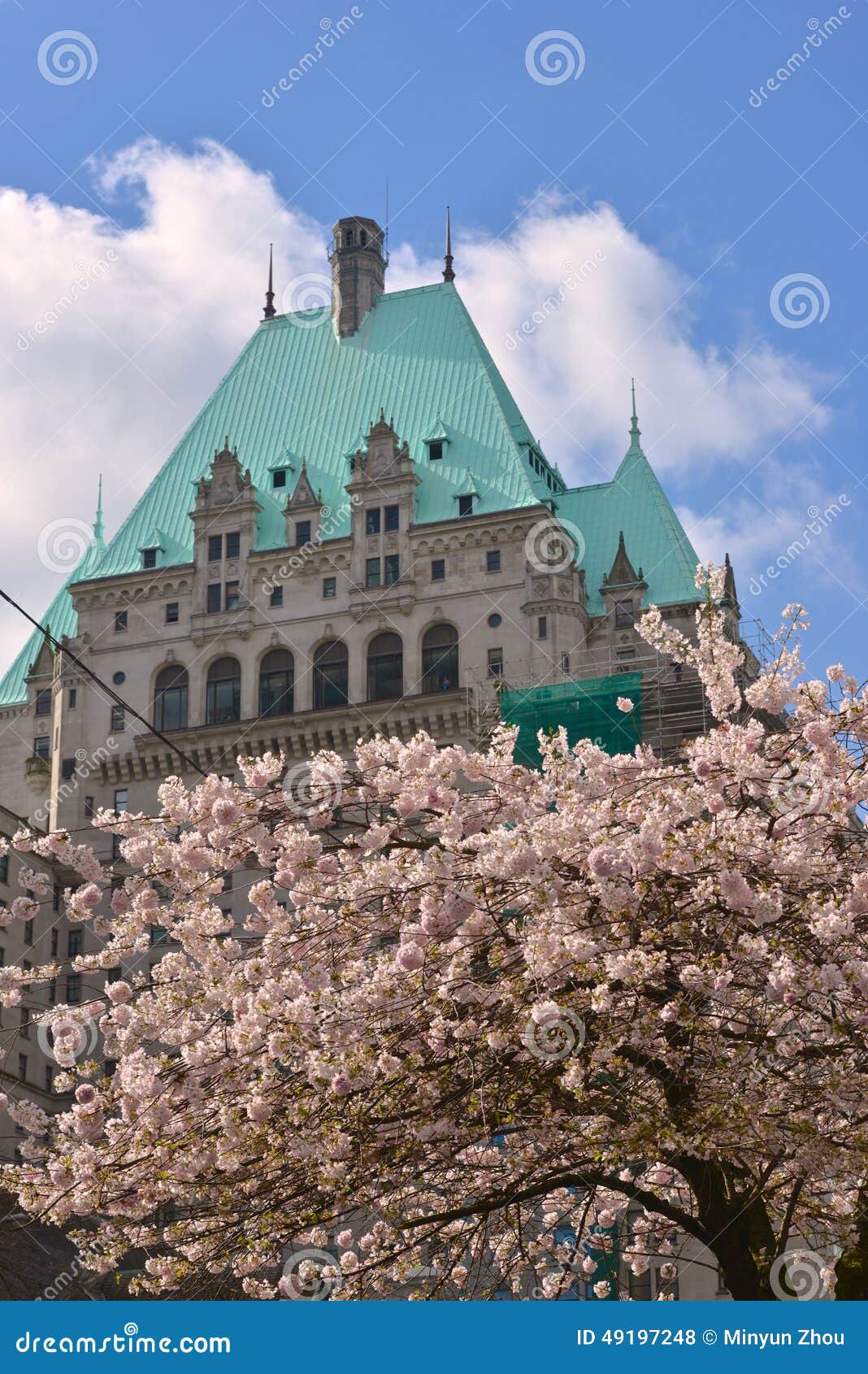 Vancouver Spring Cherry Blossoms.Canada Stock Photo - Image of canada ...