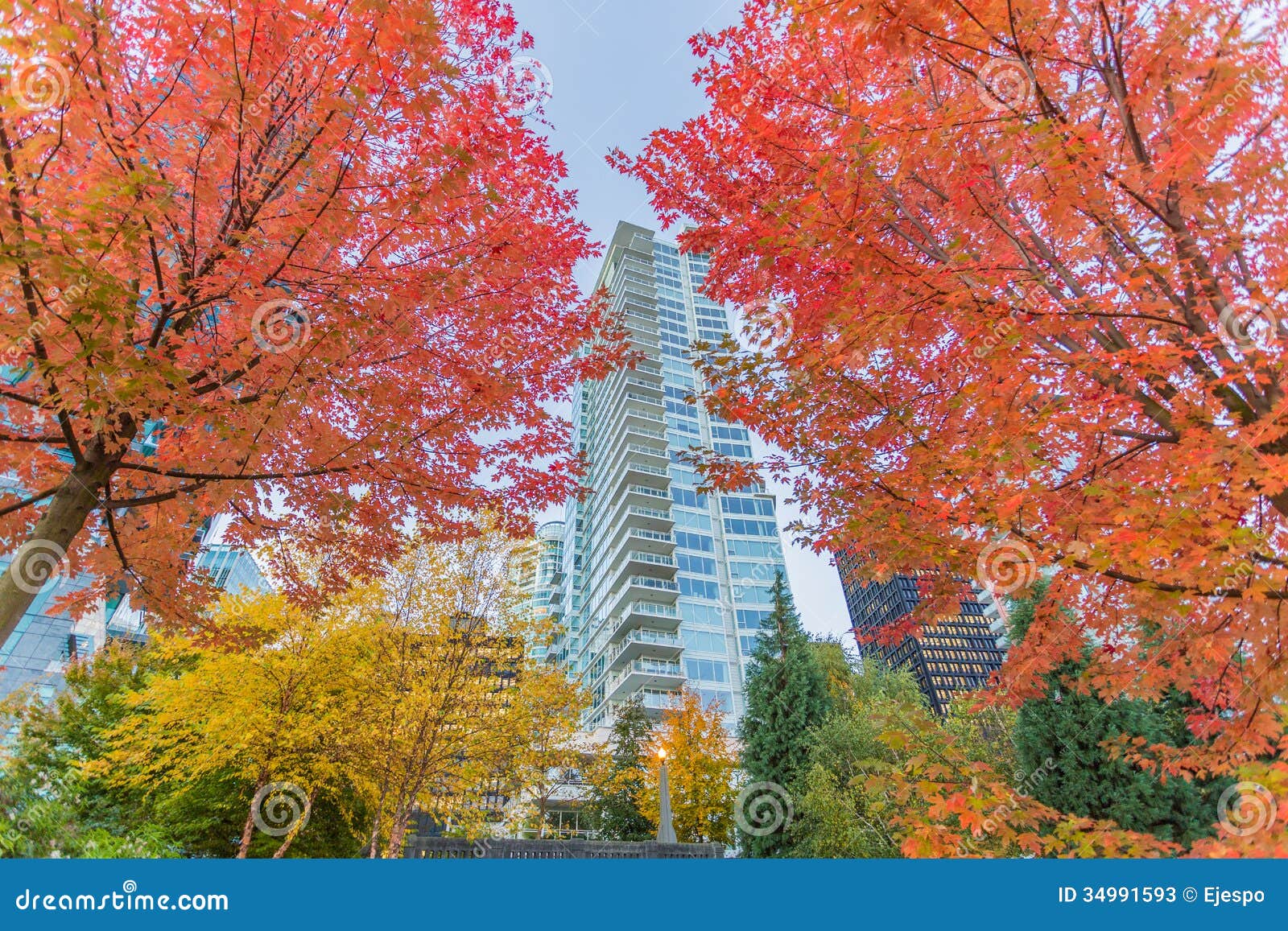 Vancouver Waterfront stock image. Image of pacific, hotel - 34991593