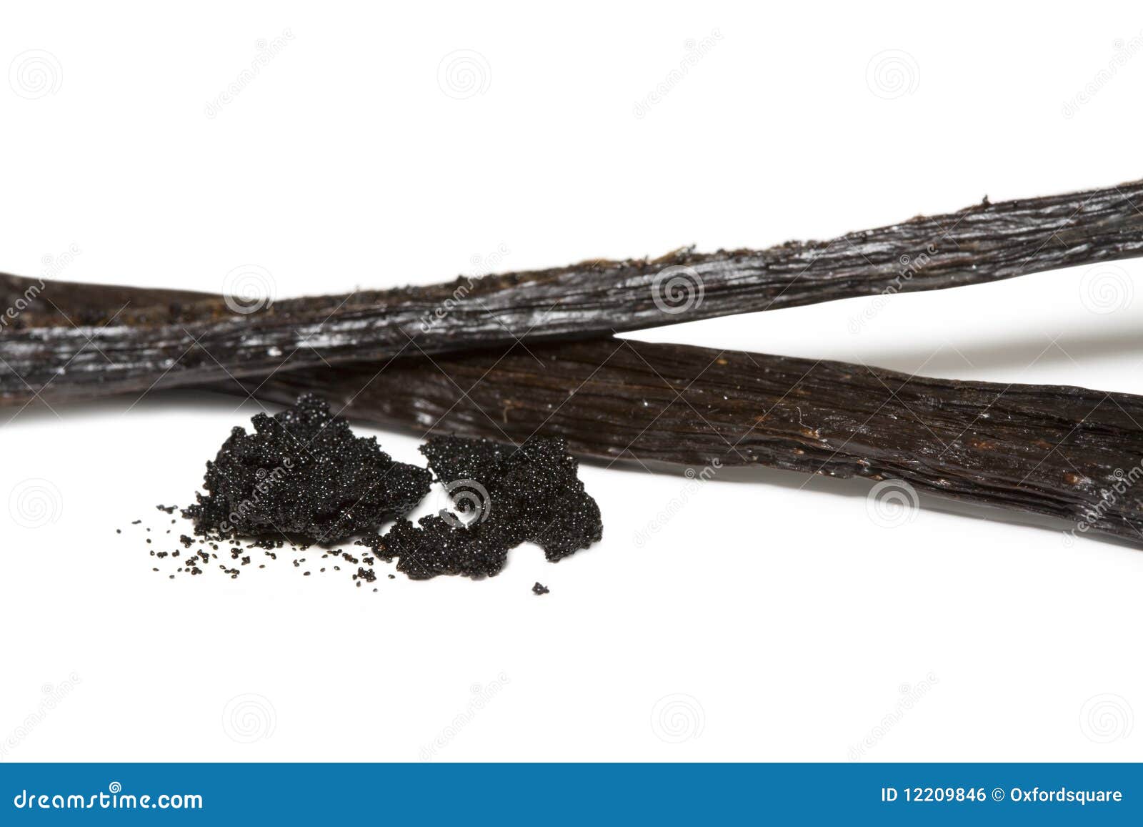 Vanilla stock photo. Image of sugar, natural, tasty, taste - 12209846