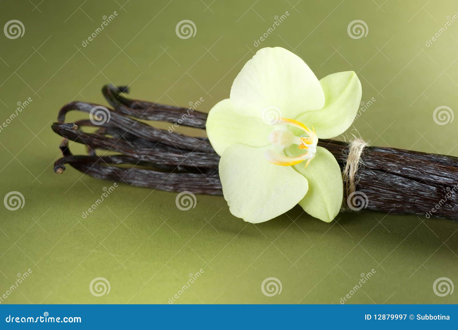 Vanilla stock image. Image of dessert, bunch, close, gourmet - 12879997