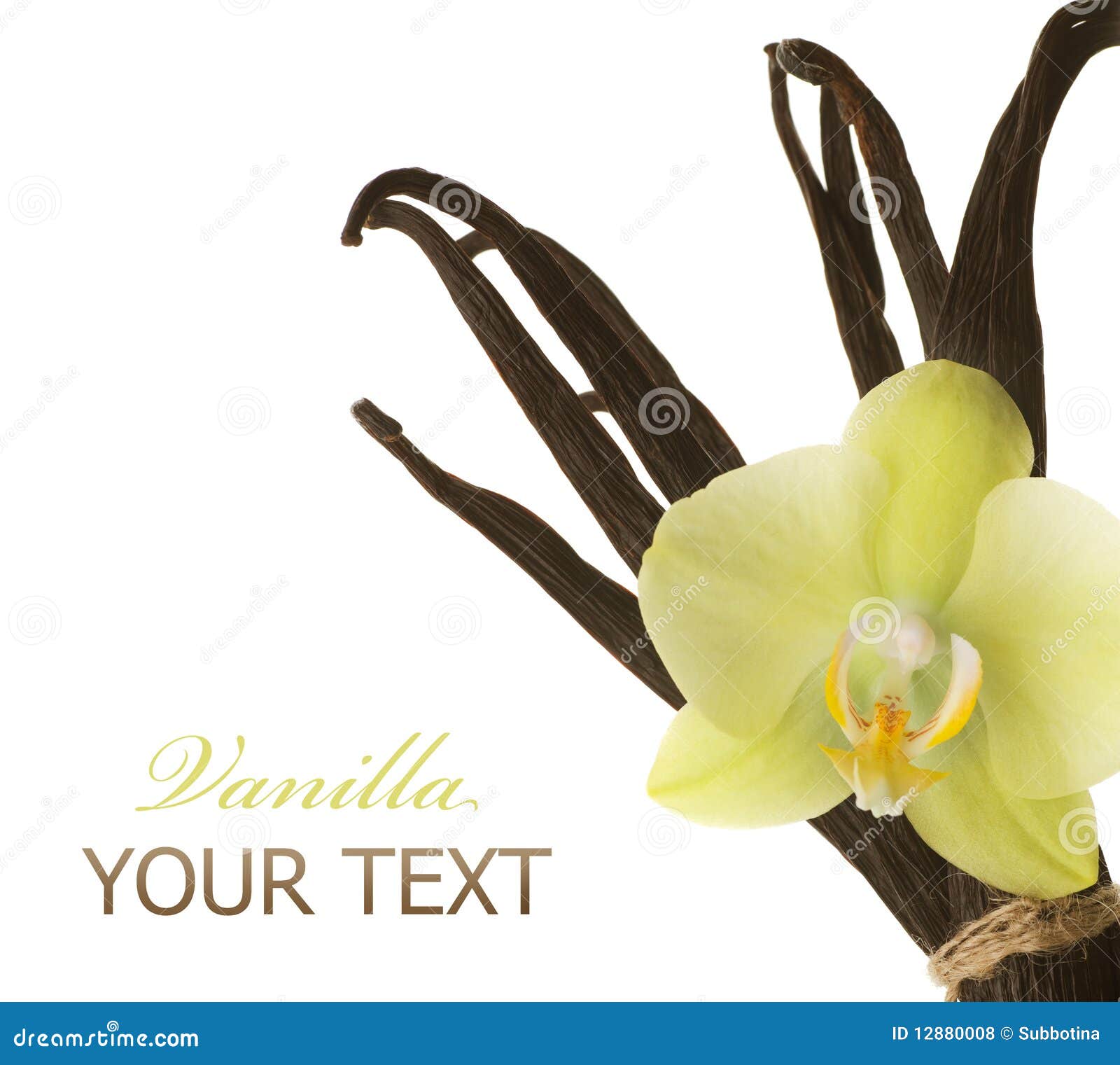 Vanilla stock photo. Image of bunch, blossoms, delicious - 12880008