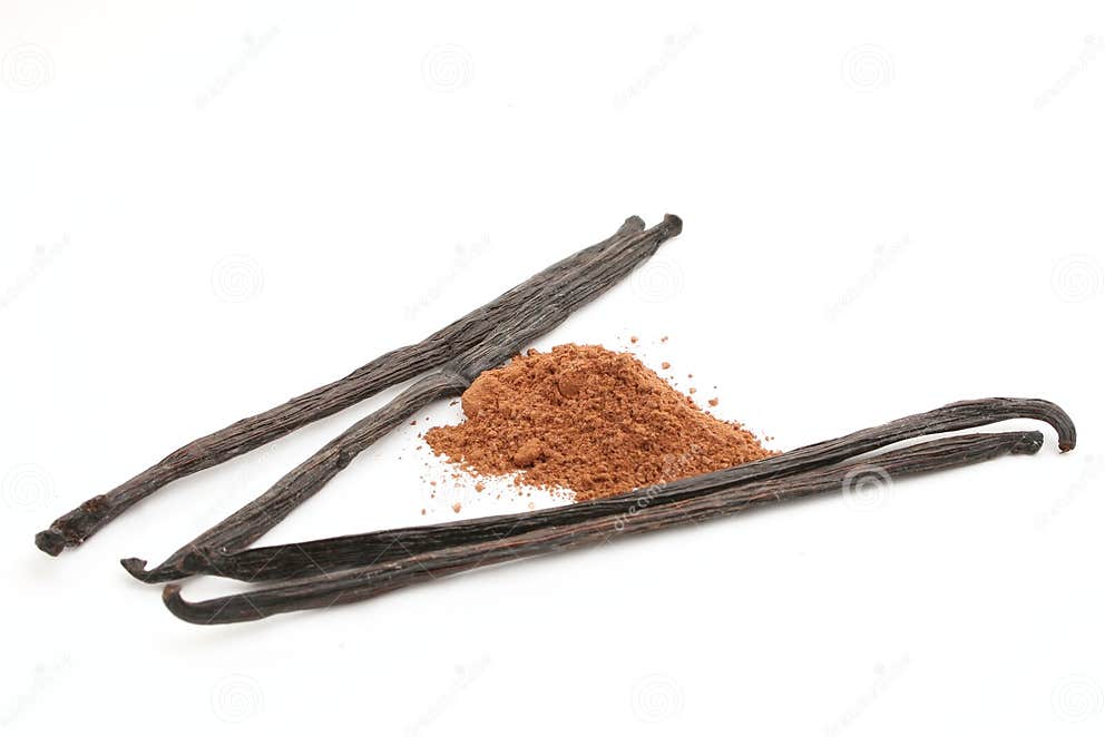 Vanilla stock image. Image of food, flavor, isolated - 13313449