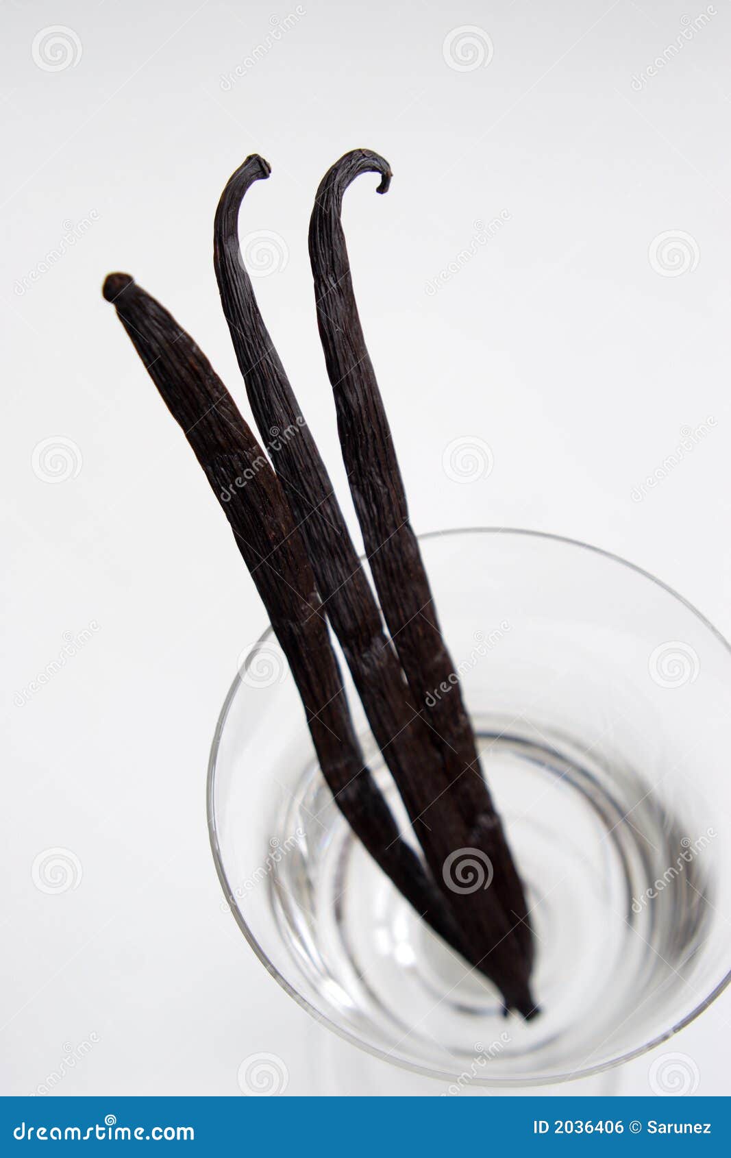Vanilla stock photo. Image of organic, gourmet, milk, bean - 2036406