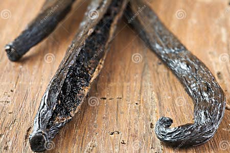 Vanilla stock image. Image of bourbon, organic, seed, food - 2792973