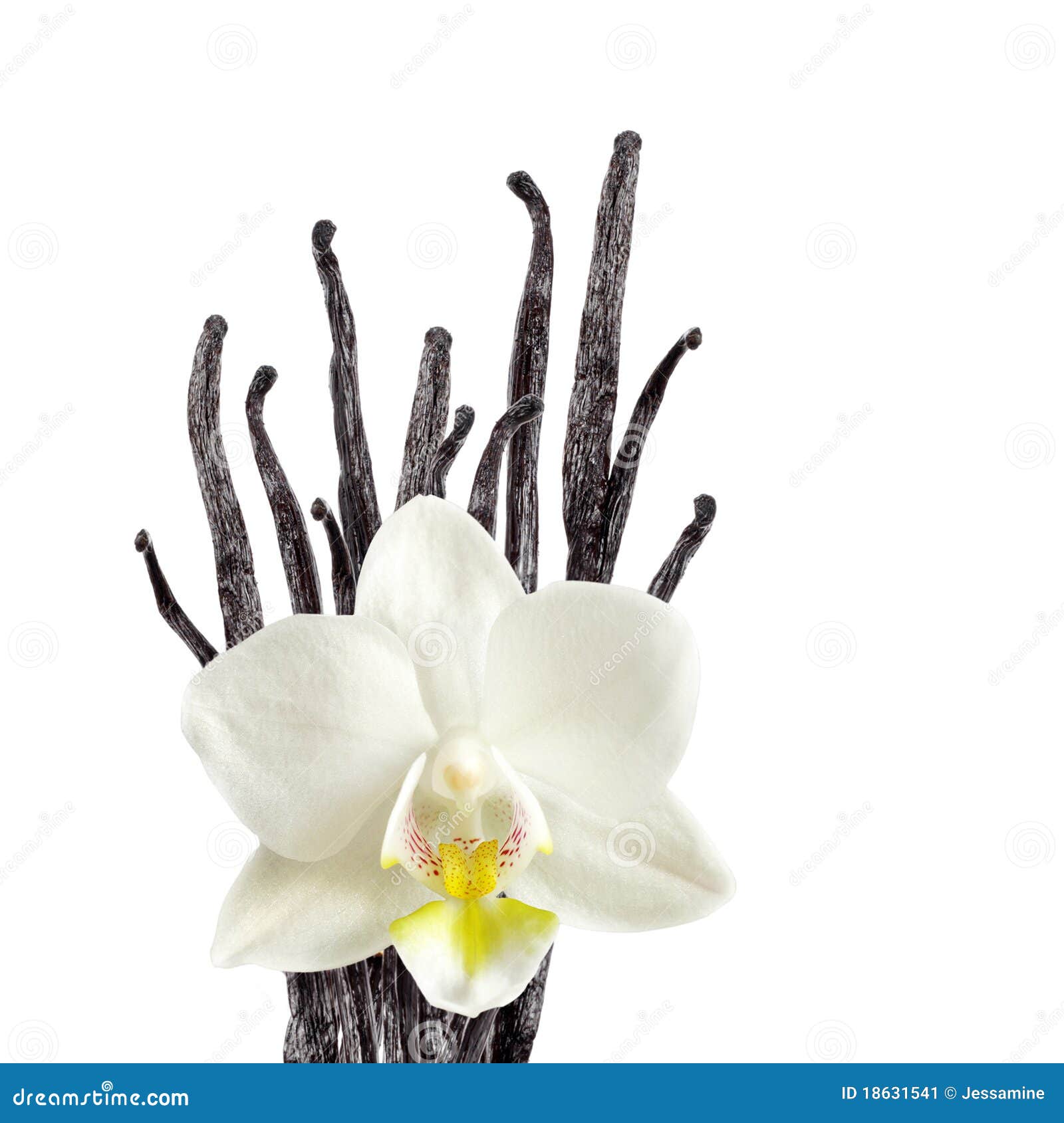 Vanilla background stock image. Image of baking, aromatherapy - 18631541