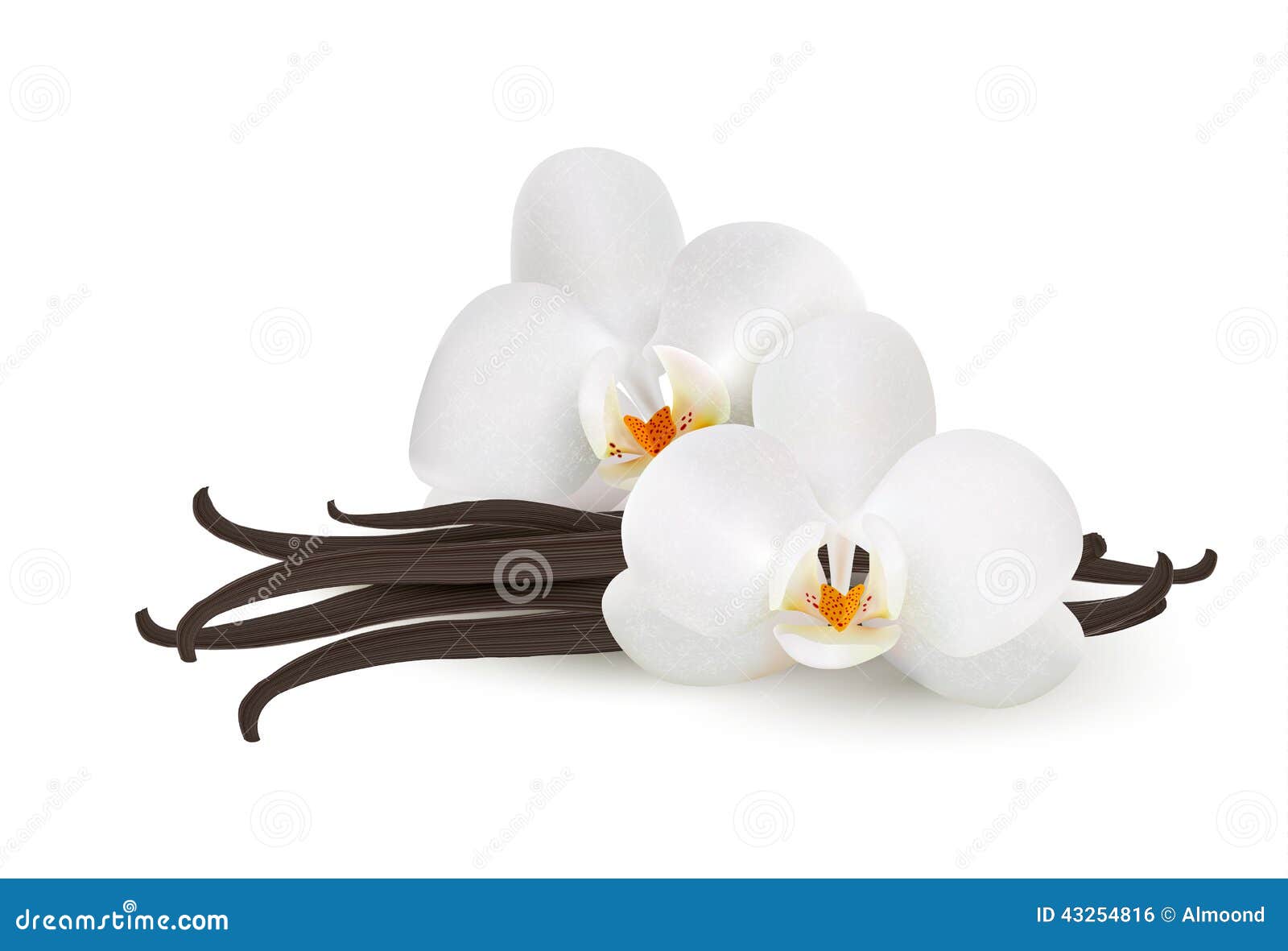 Vanilla background. stock vector. Illustration of blur - 43254816