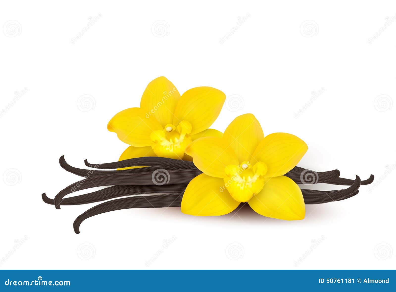 Vanilla Background Vector Illustration | CartoonDealer.com #15421530