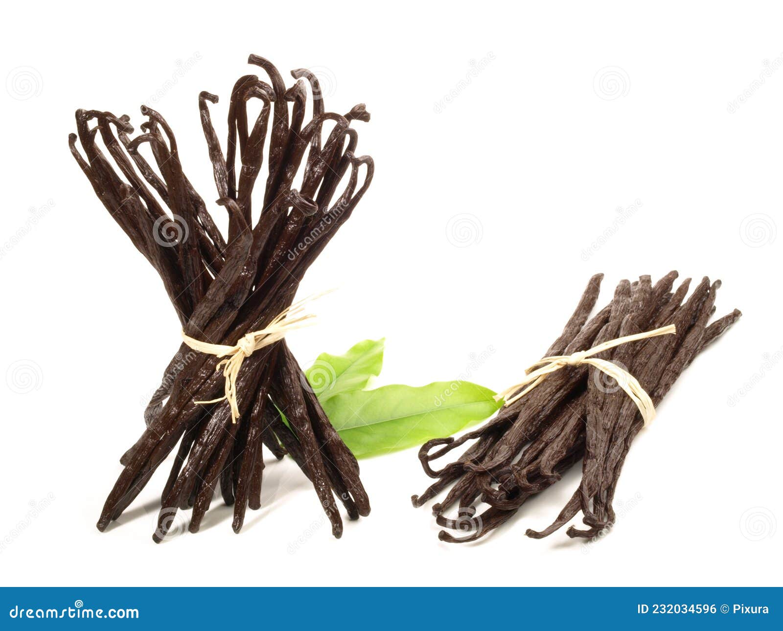 Vanilla Bean Bundle with Leaves on White Background - Isolated Stock ...