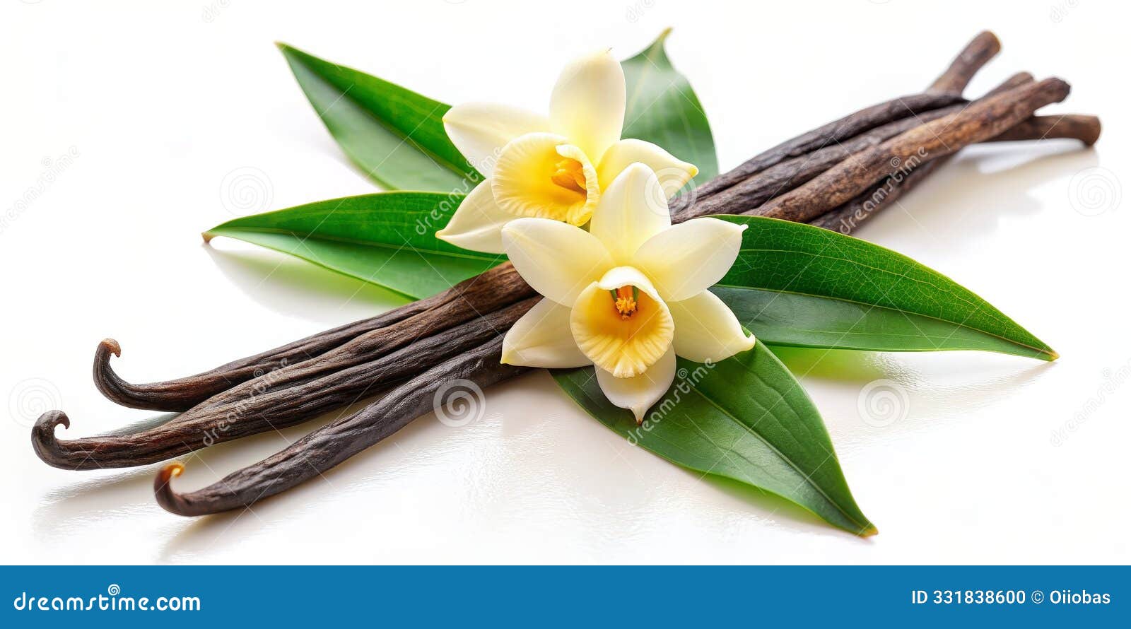 Vanilla Bean Flower and Pods on White Background, Vanilla, Flower, Spice, Ingredient Stock ...