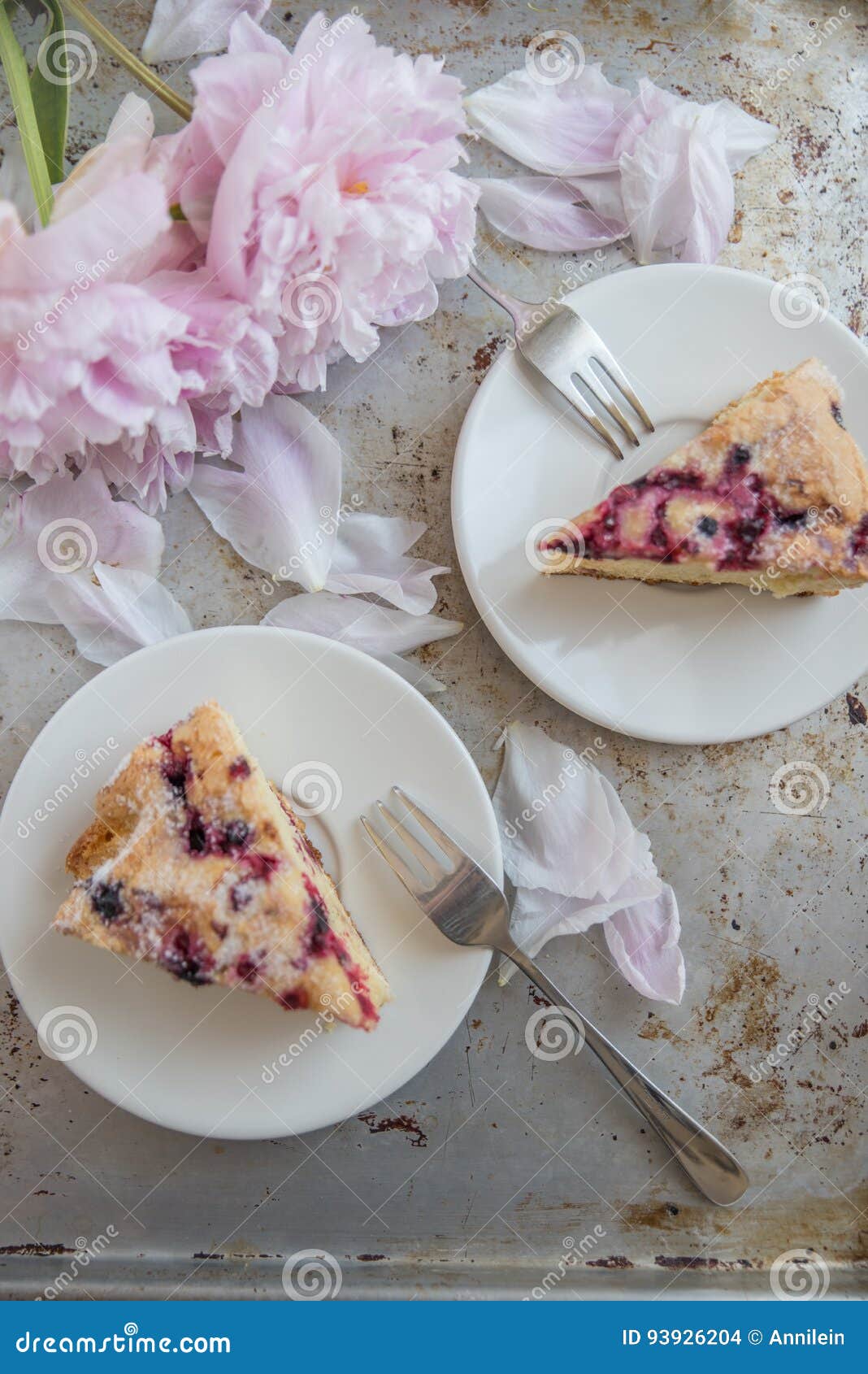 Vanilla berry cake stock photo. Image of rustic, mint - 93926204