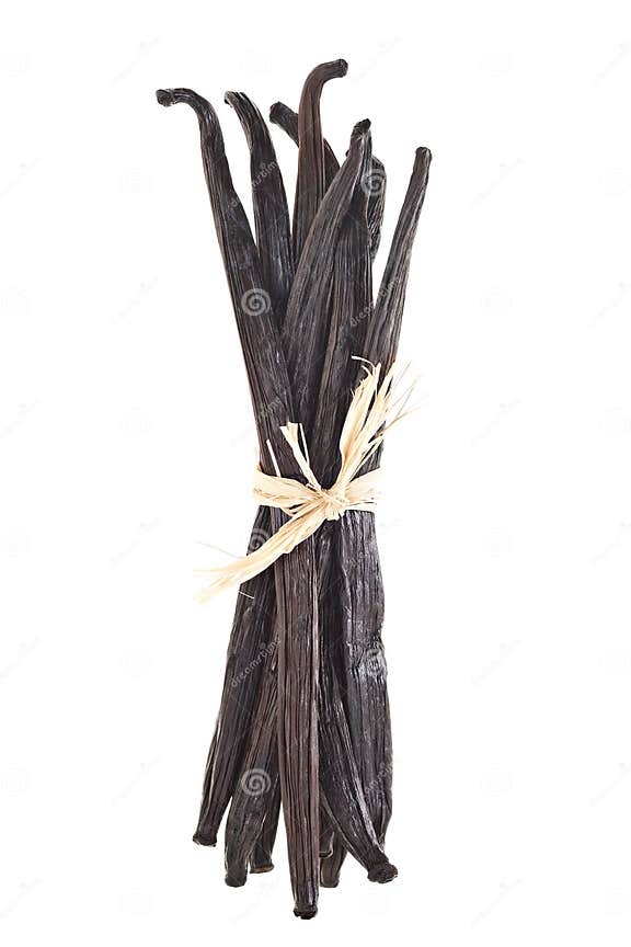 Vanilla Bundle stock photo. Image of dessert, bundle - 30157394