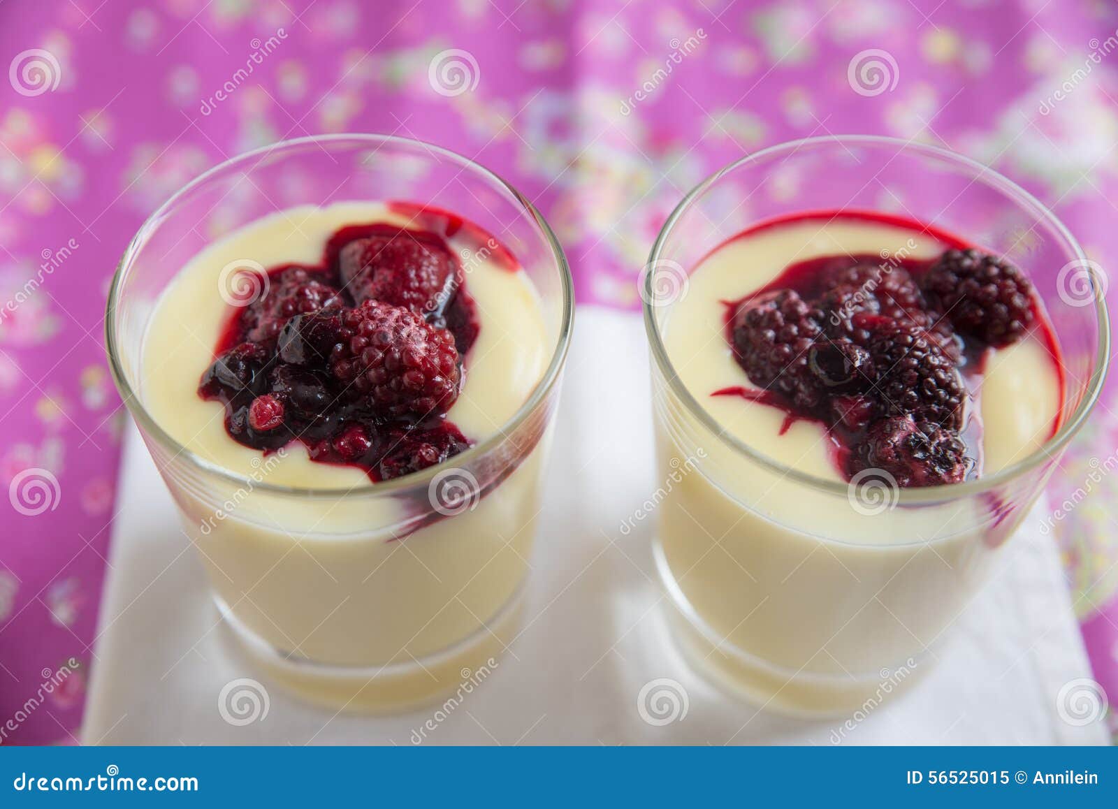 Vanilla Custard Pudding stock image. Image of dessert - 56525015