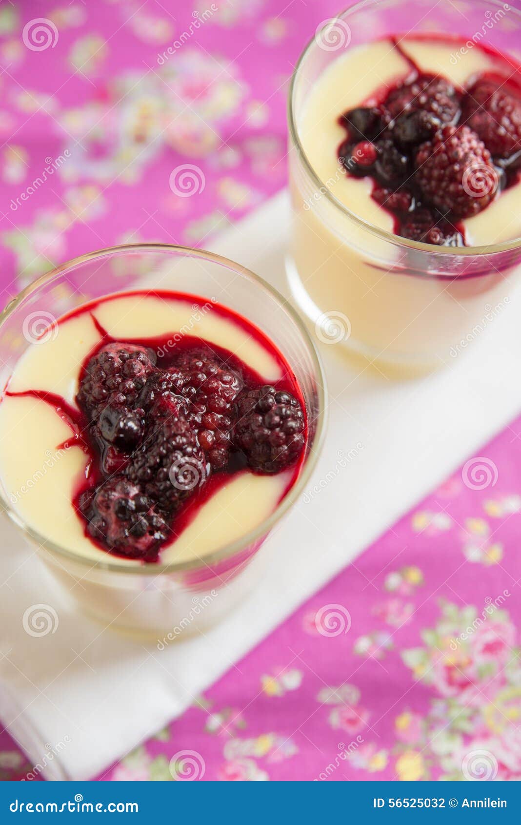 Vanilla Custard Pudding stock photo. Image of grapes - 56525032