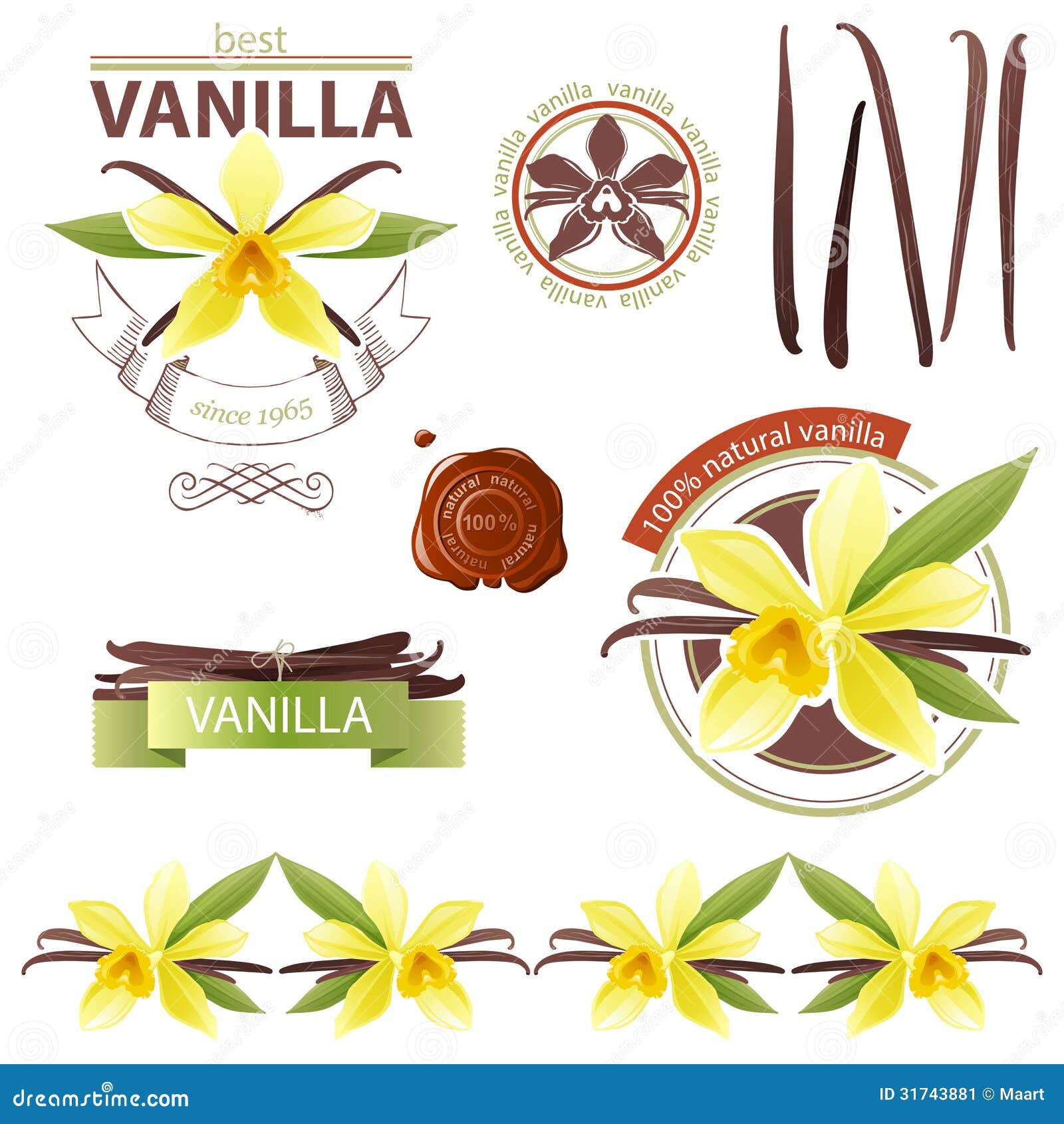 Vanilla stock vector. Illustration of orchid, brown, ingredient - 31743881