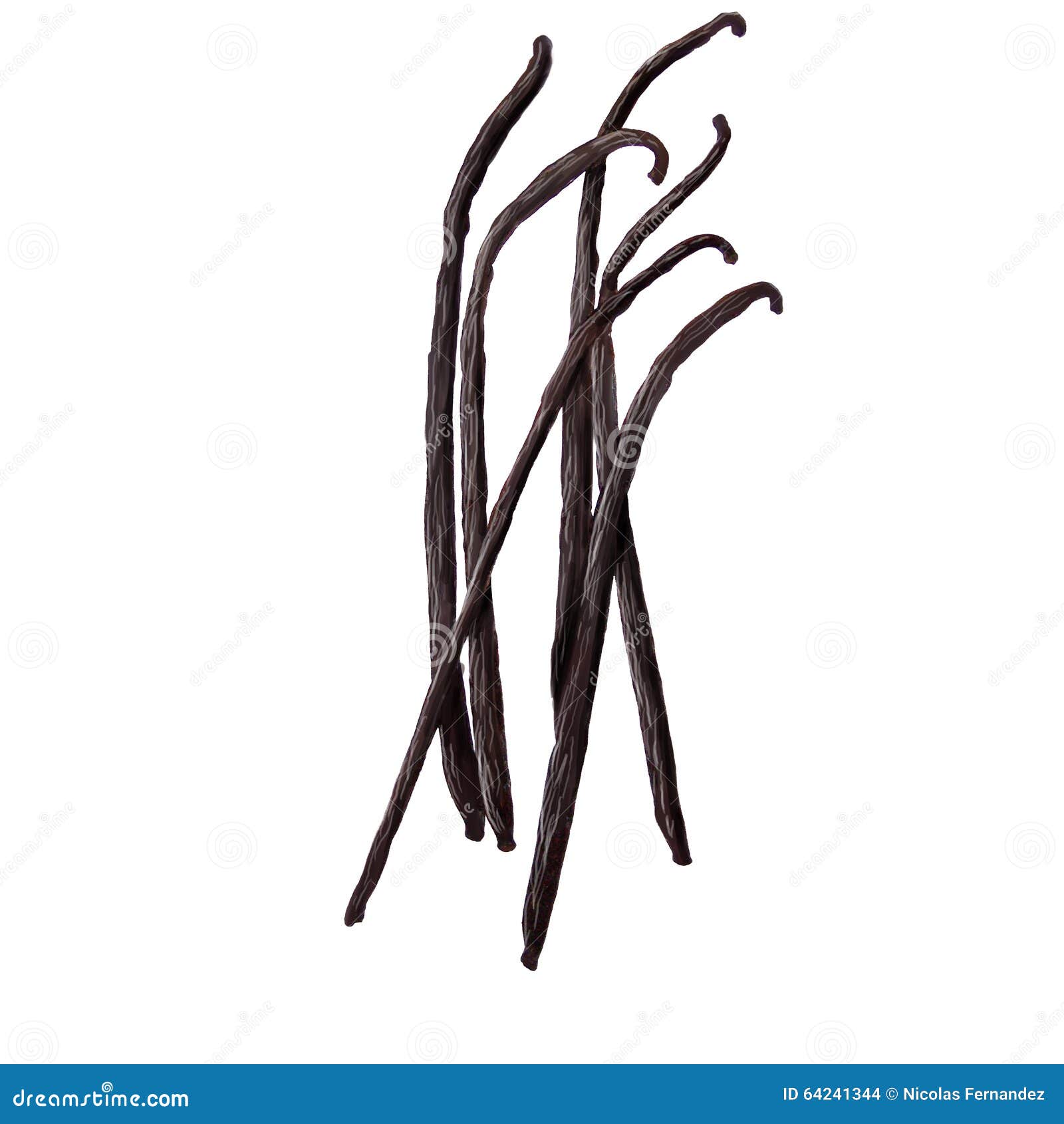 Vanilla stock illustration. Illustration of nature, spice - 64241344