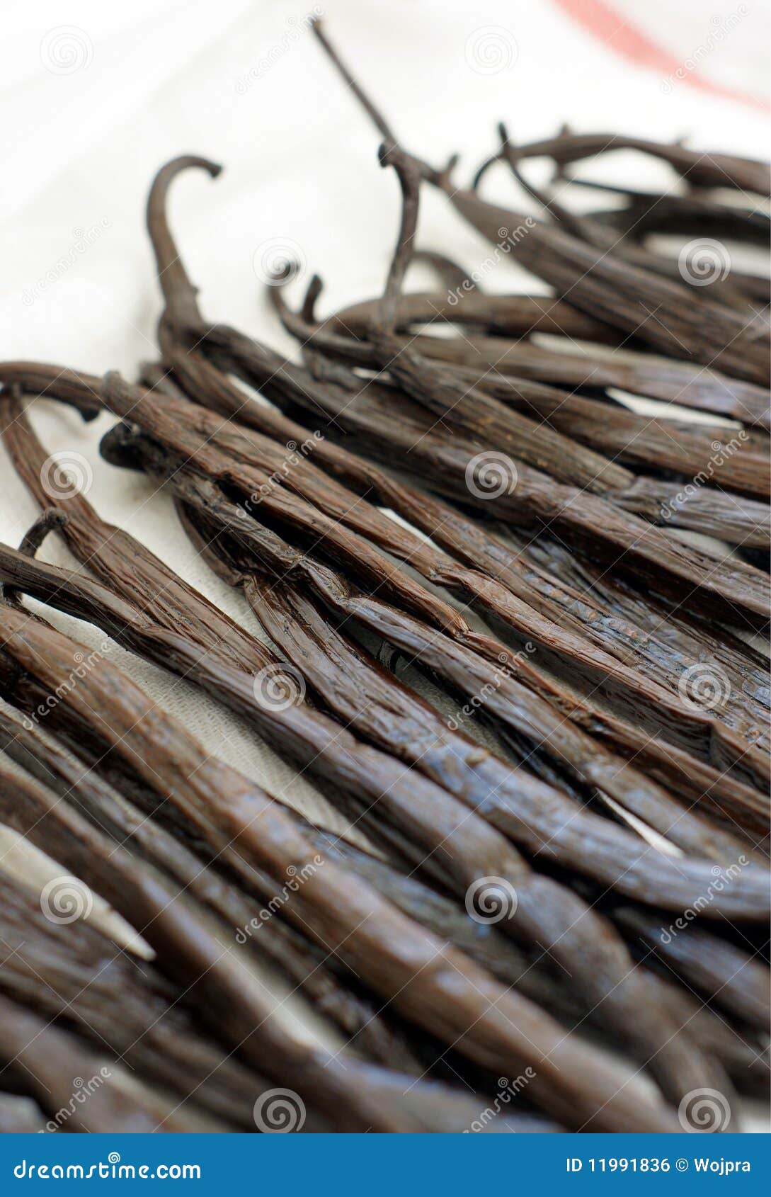 Vanilla drying stock photo. Image of cane, flavouring - 11991836