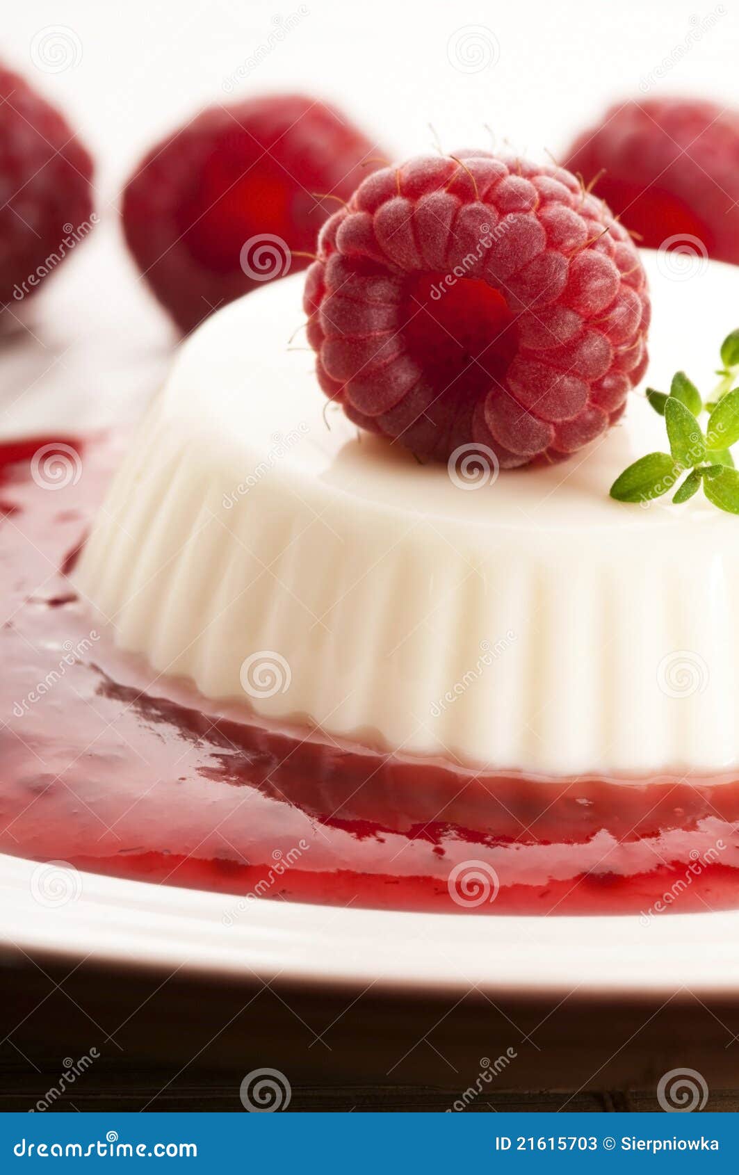 Vanilla Panna Cotta with Berry Sauce Stock Image - Image of cuisine ...