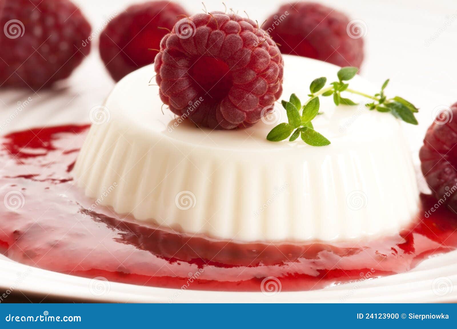 Vanilla Panna Cotta with Berry Sauce Stock Photo - Image of pudding ...