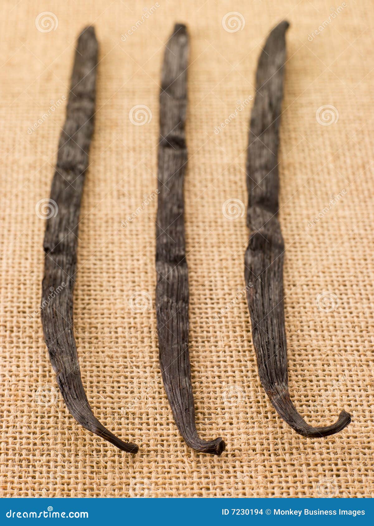 Vanilla Pods stock photo. Image of foreground, food, vanilla - 7230194