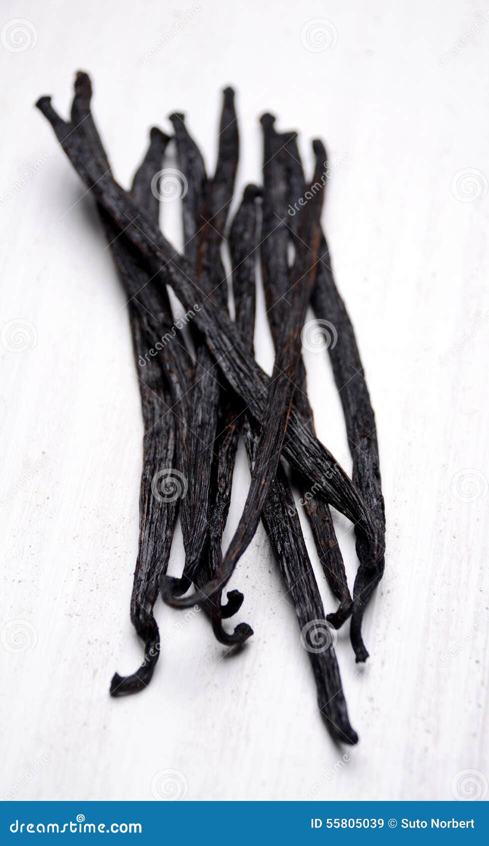 Vanilla pods stock image. Image of seed, natural, organic - 55805039