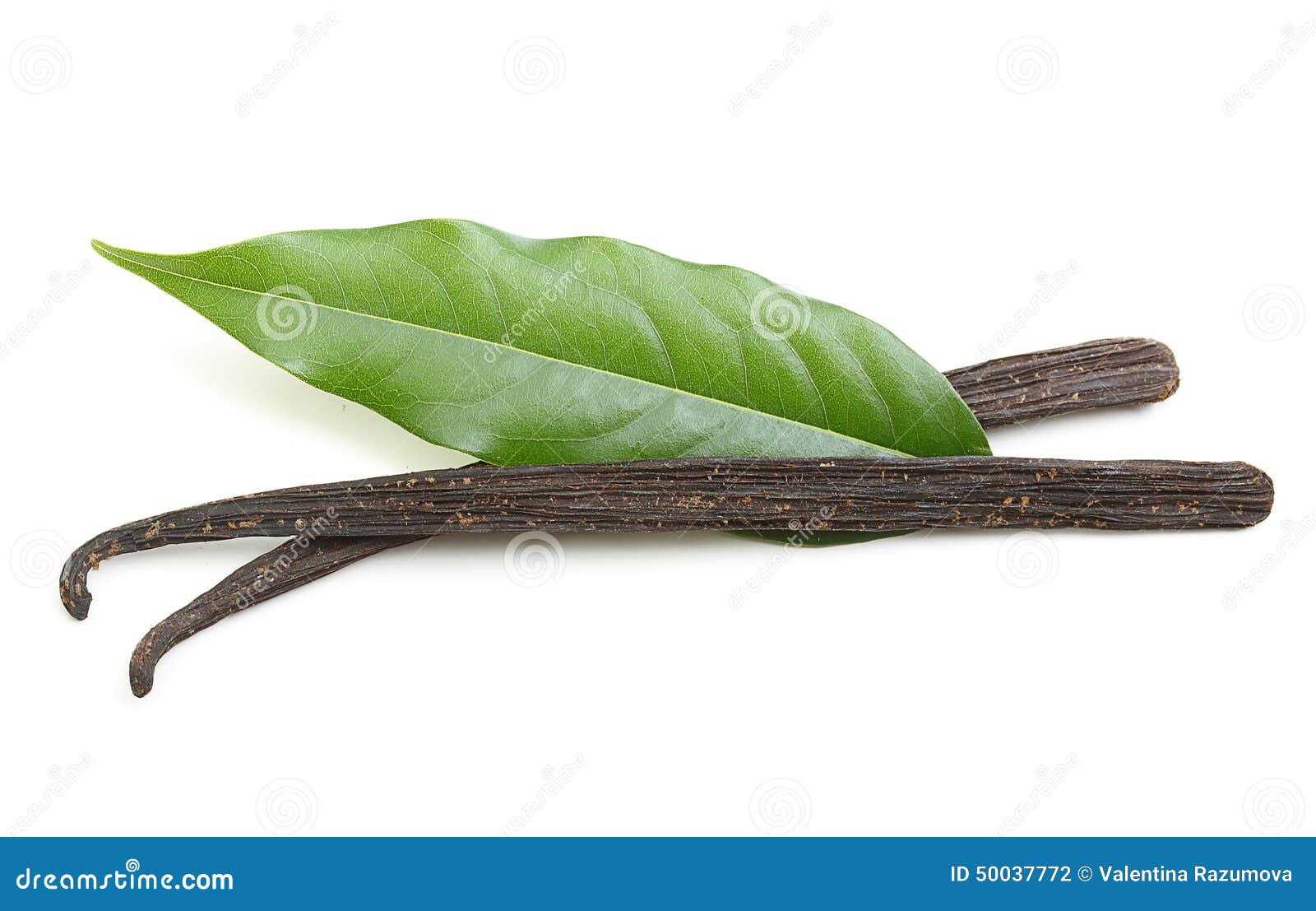 Vanilla pods isolated stock photo. Image of green, heap - 50037772