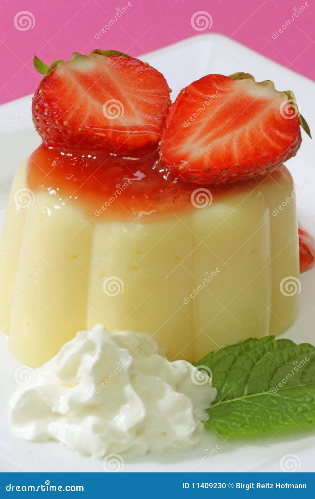 Vanilla pudding stock photo. Image of sweet, served, custard - 11409230