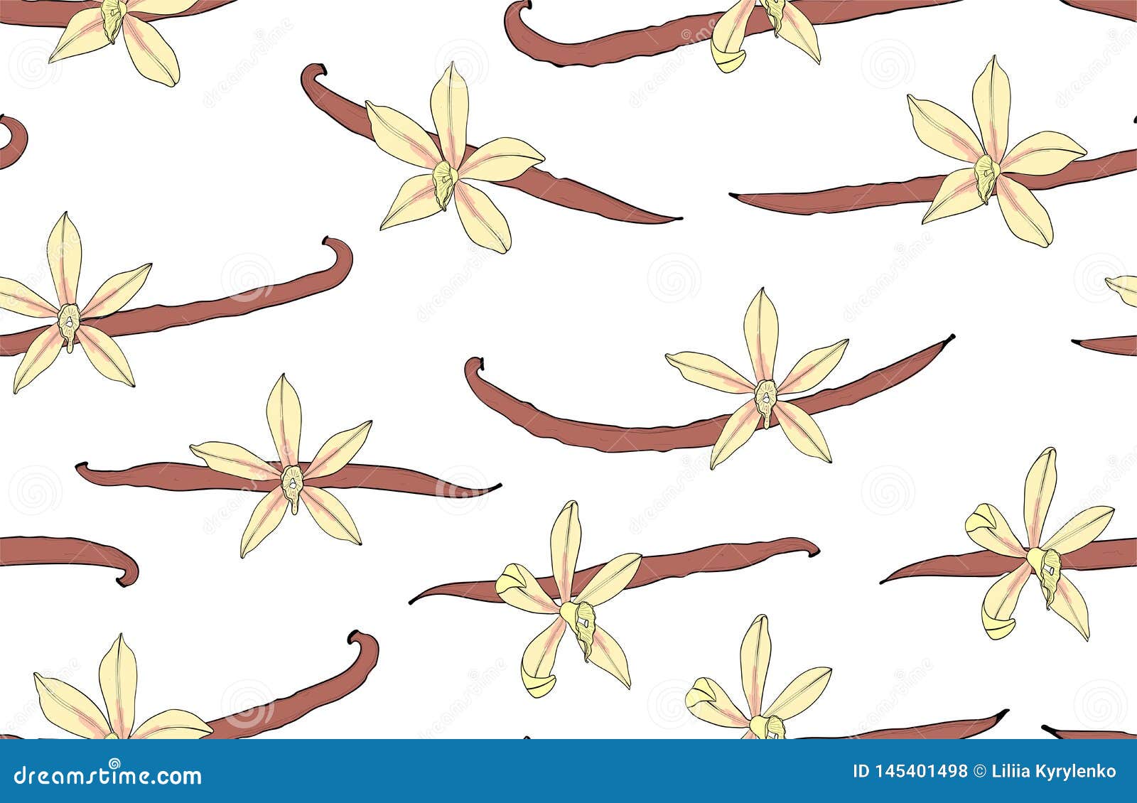 Vanilla Seamless Pattern. Flower and Pod Stock Photo - Image of extract ...