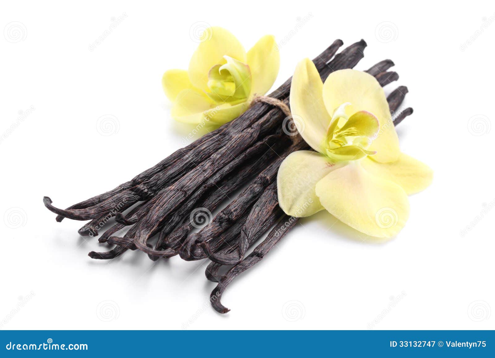 Vanilla Sticks And Cinnamon With Flower Isolated On White Background ...